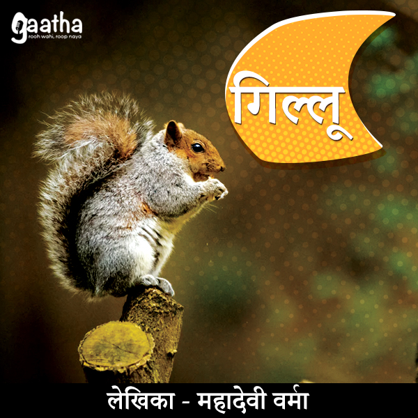 Gillu (गिल्लू) | Gaatha | Fiction